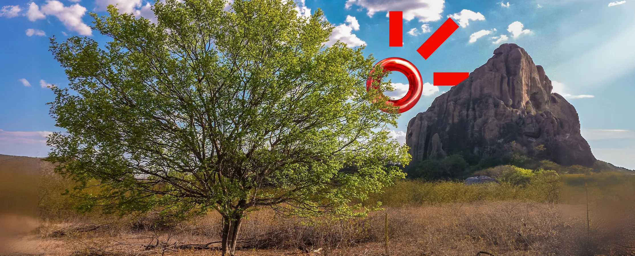 DDD 88: Quais são as Cidades e Municípios do Ceará com DDD 88?