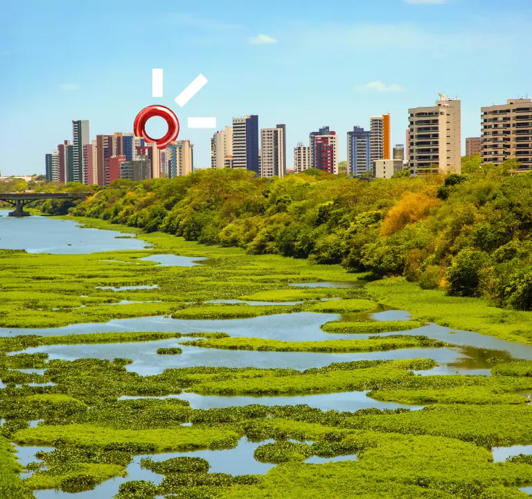 DDD 86: Quais são as Cidades e Municípios do Piauí com DDD 86?