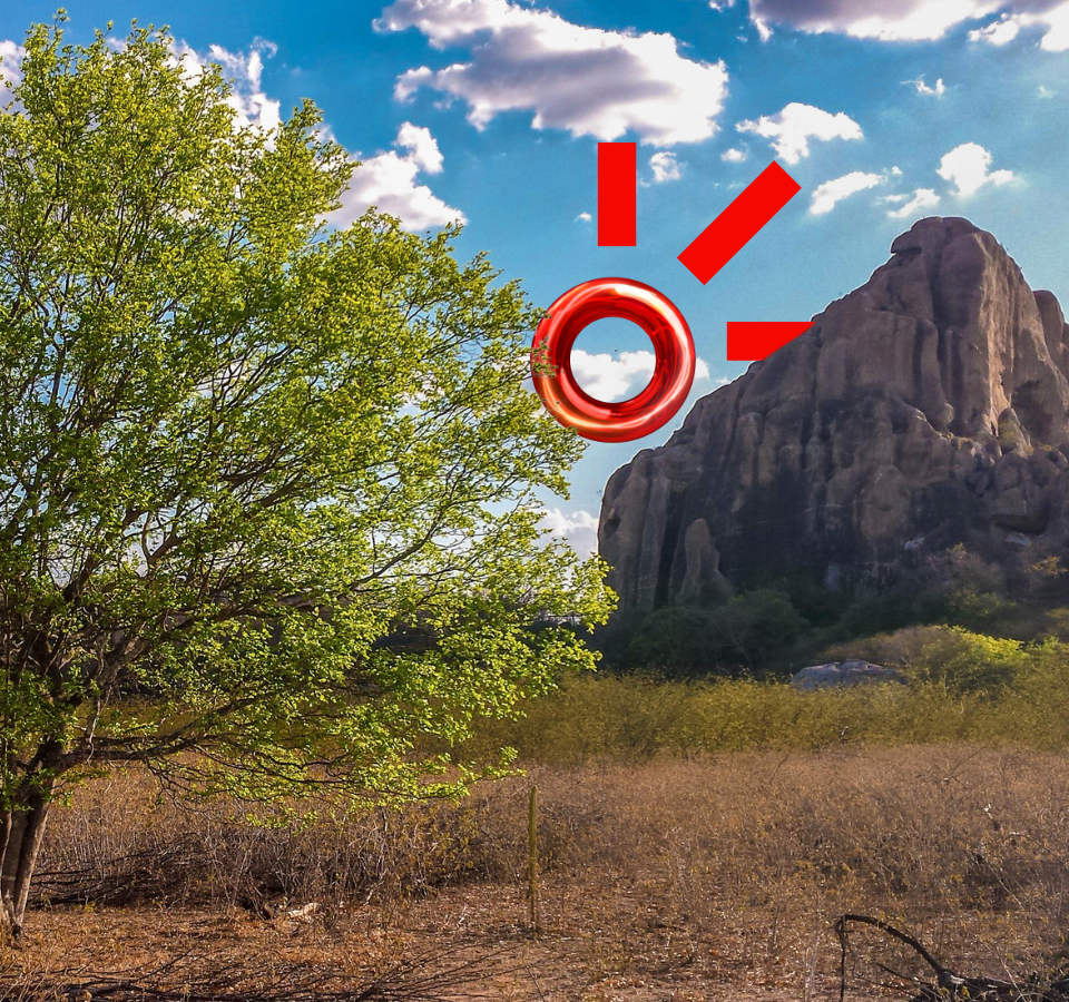 DDD 88: Quais são as Cidades e Municípios do Ceará com DDD 88?